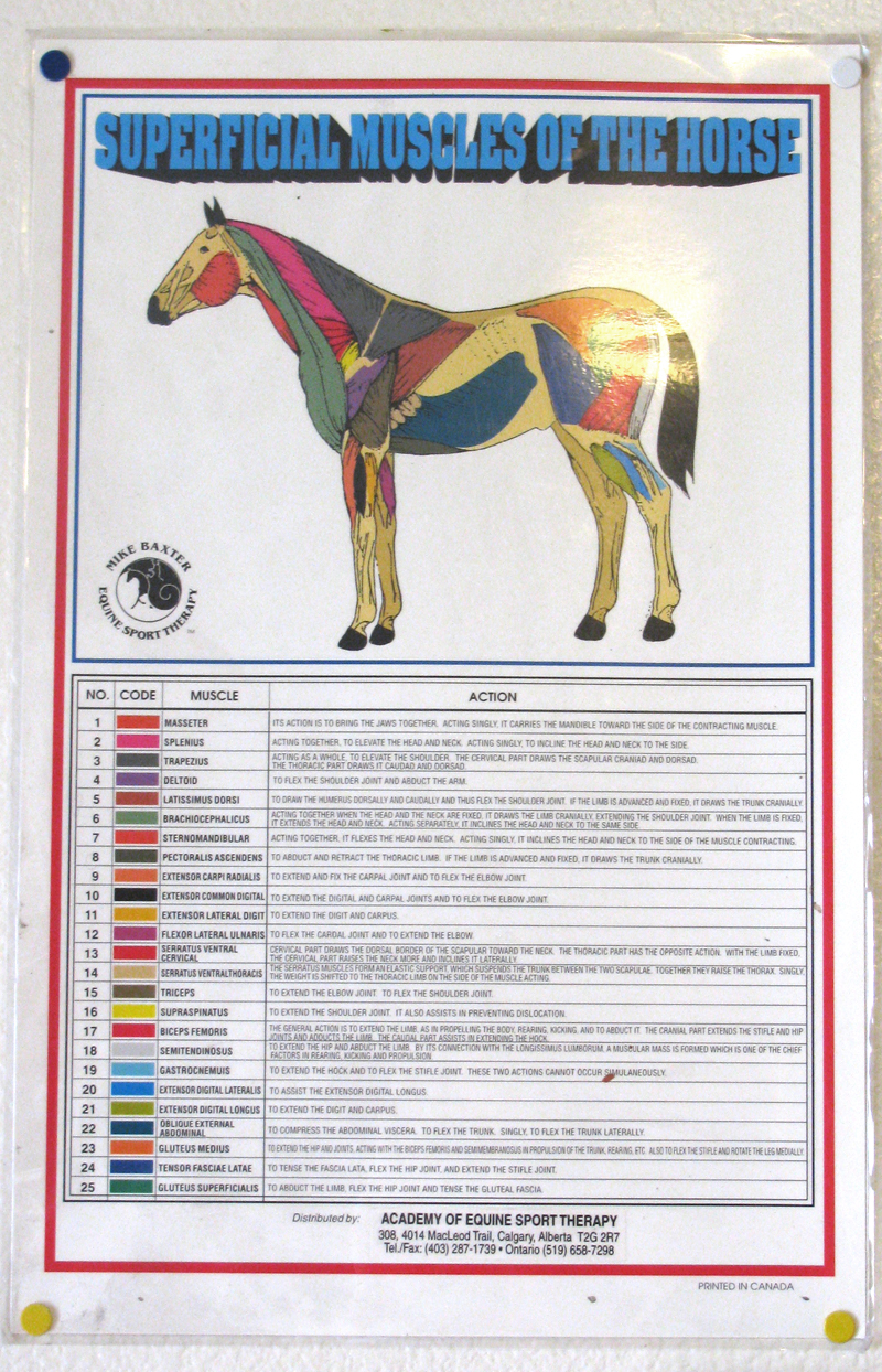 Musings at Minkiewicz Studios LLC: Beginner's Top Ten