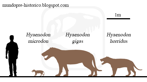 Mundo Pré-Histórico: Hienodonte, o predador com dentes de hiena