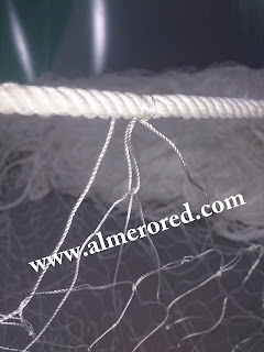 Trasmallo pesca sepia - Almerored