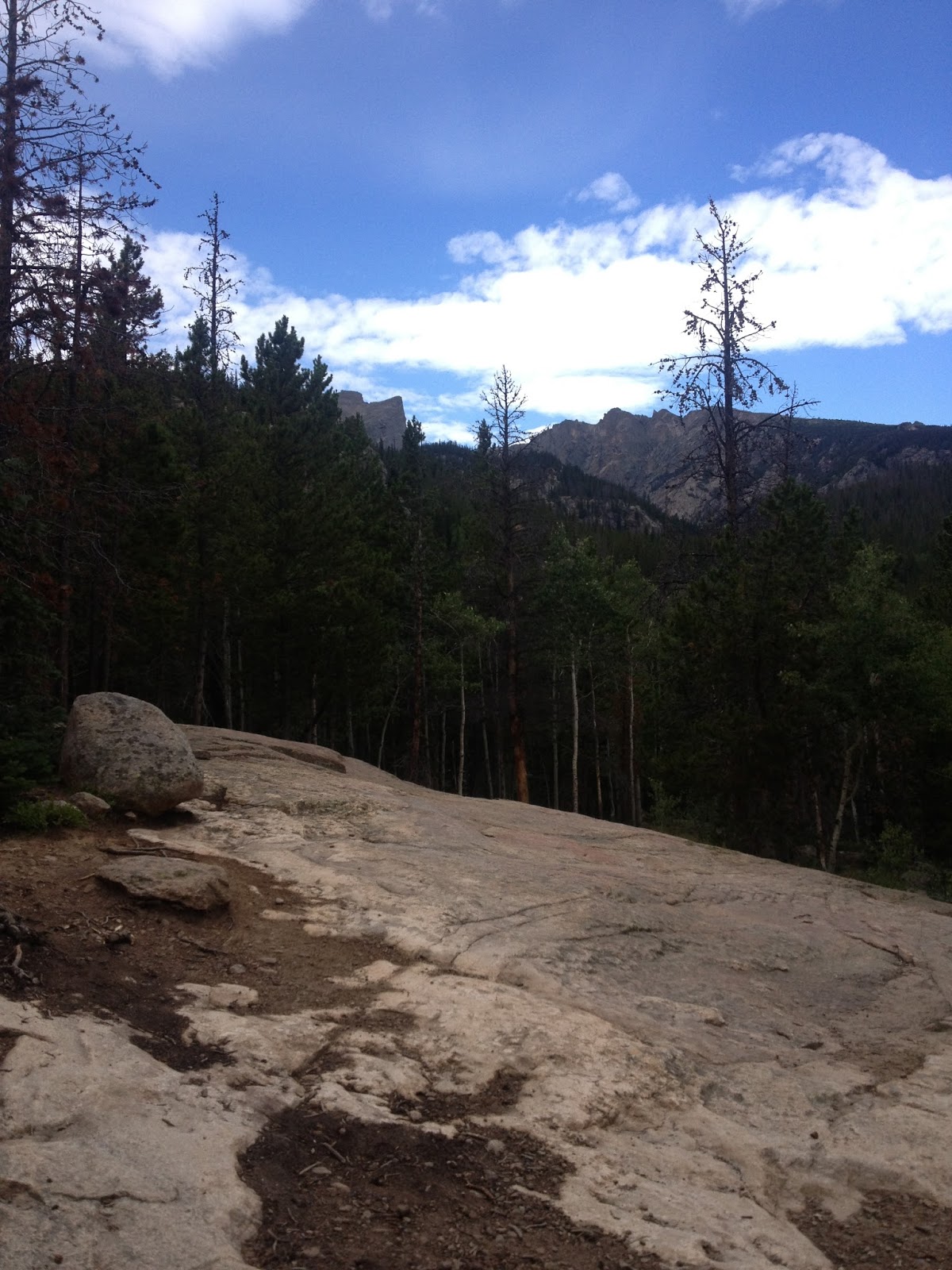 50 Hikes for 2012-13: Hike #39 - Alberta Falls Trail, Rocky Mountain ...