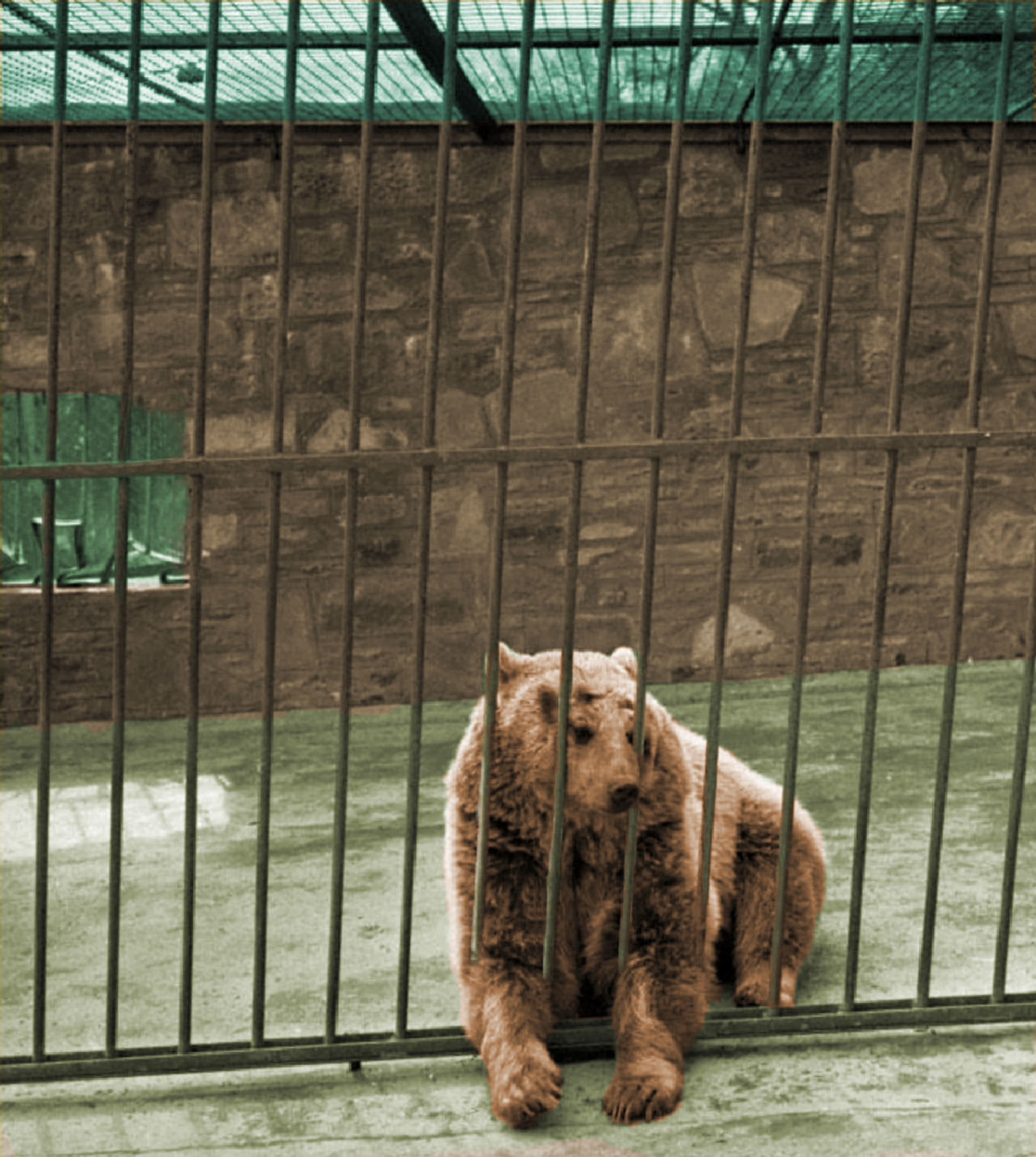 RETRO DUNDEE: JEREMY THE "SUGAR PUFFS" BEAR