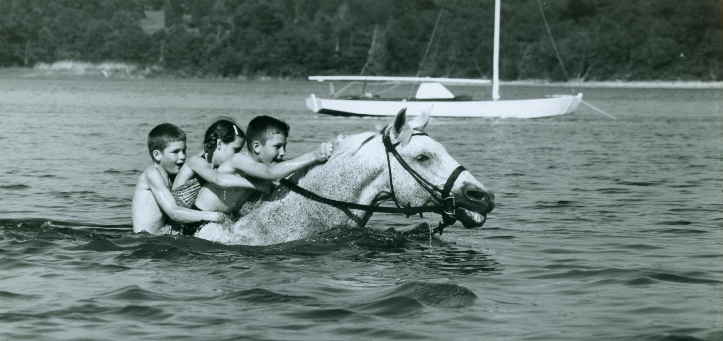 harry deleyer - USA News Collections