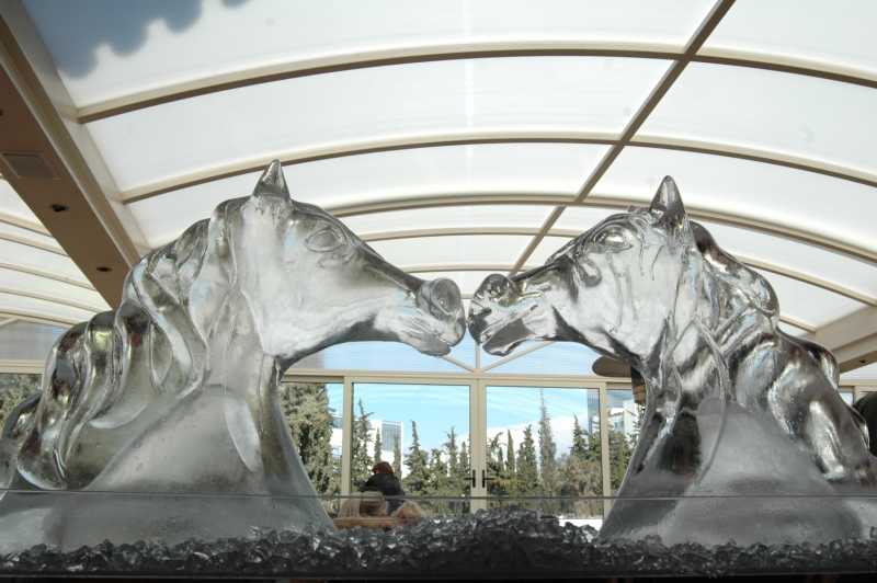 How To Make Ice Molds at Darrel Ferreira blog