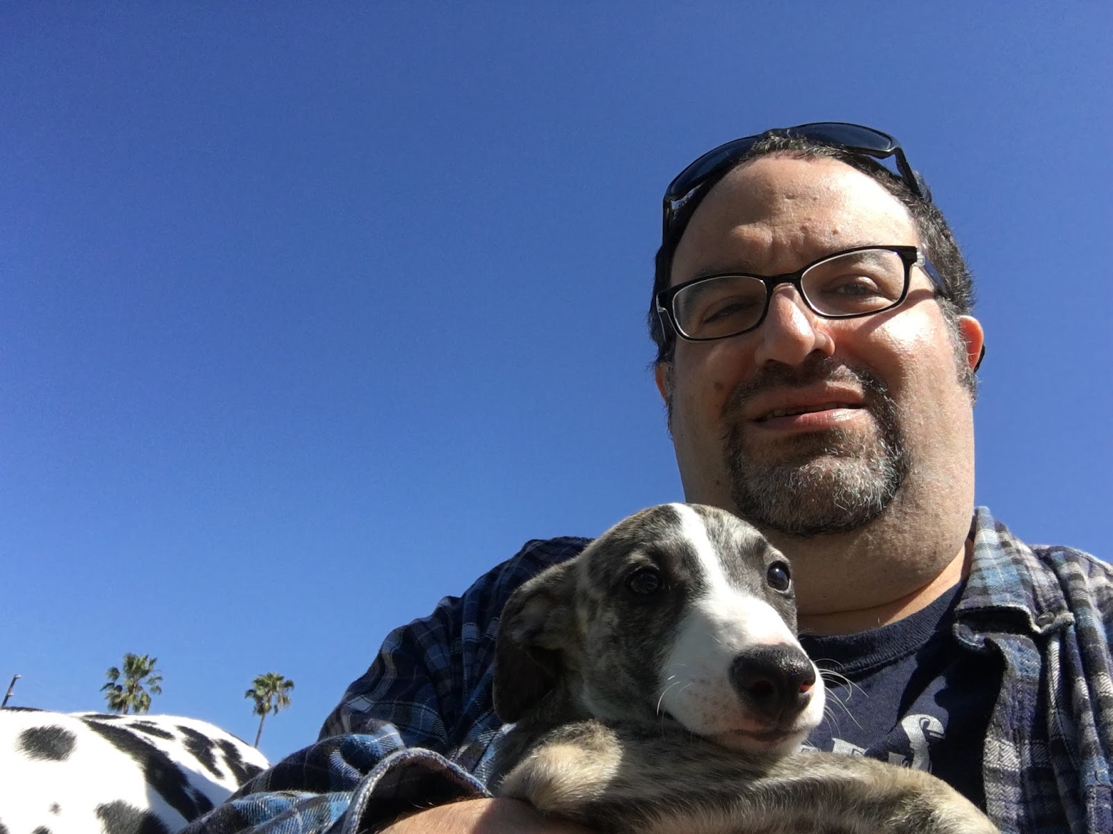 Steve Reiss and ScienBiziP on Patents, Trademarks, and Canine Issues ...