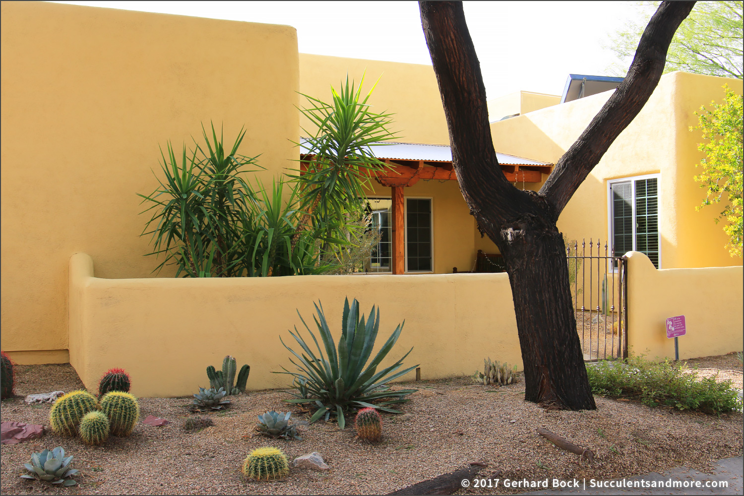 Tucson's Civano community: where I'd love to live