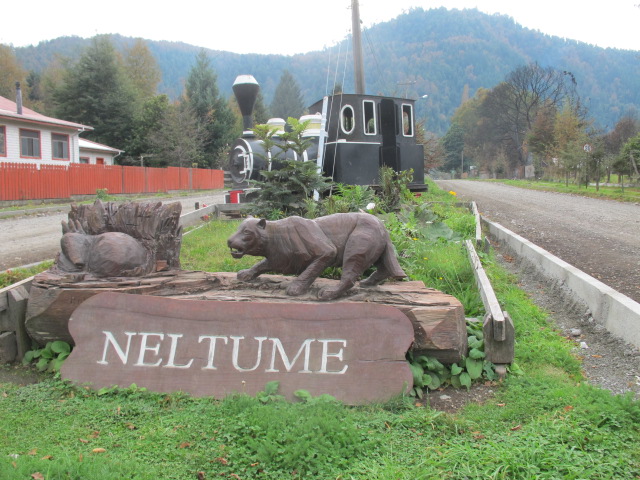 LA NATURALEZA ES NUESTRA PRINCIPAL FUENTE DE SALUD: Neltume