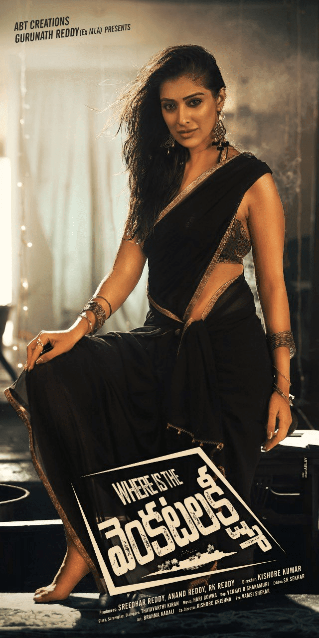 Actress Lakshmi Raai New Stills From Where Is The Venkat Lakshmi