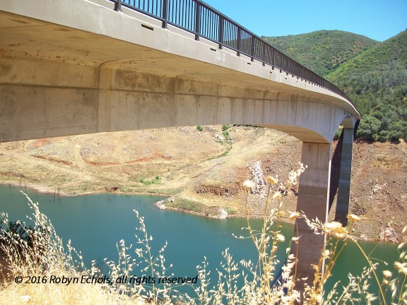 Cowboy Kisses: PARROTT'S FERRY by Zina Abbott