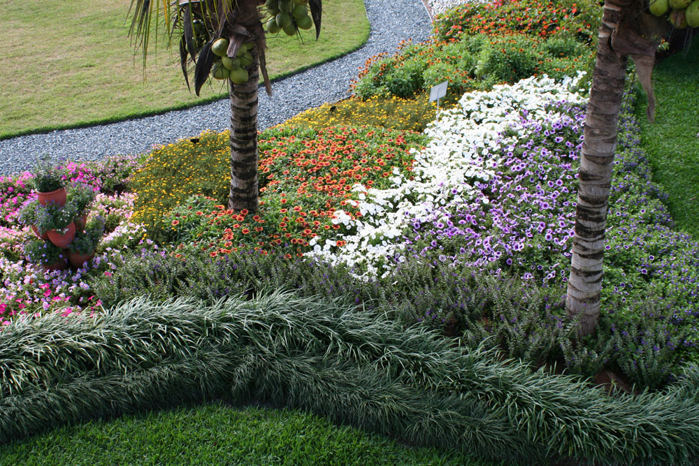 The Rainforest Garden: A Kid in a Flower Factory at Costa Farms