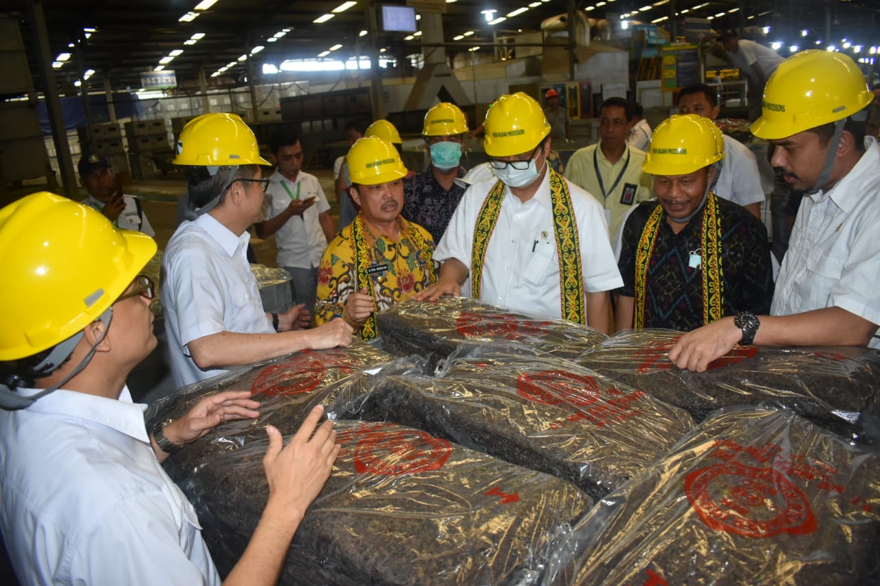 Harga Karet terus Merosot Menperin datangi Pabrik Karet PT NKP di ...
