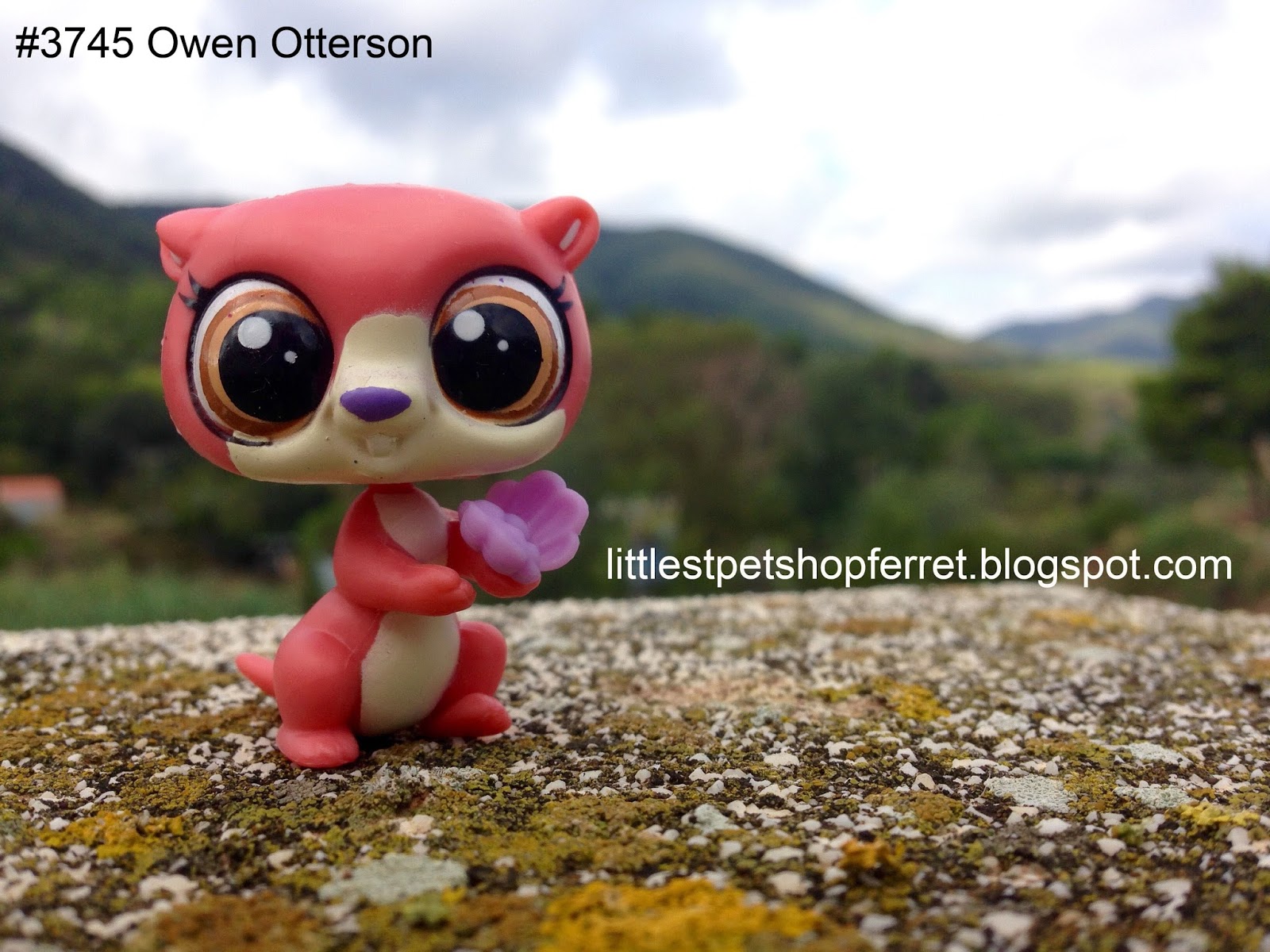 Littlest Pet Shop colección hurones.: LPS Nutrias
