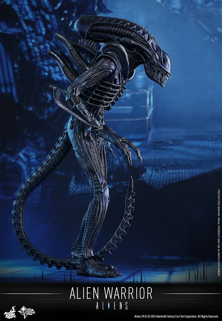 toyhaven: Hot Toys all new "Aliens" Xenomorph 1/6th scale Alien Warrior ...
