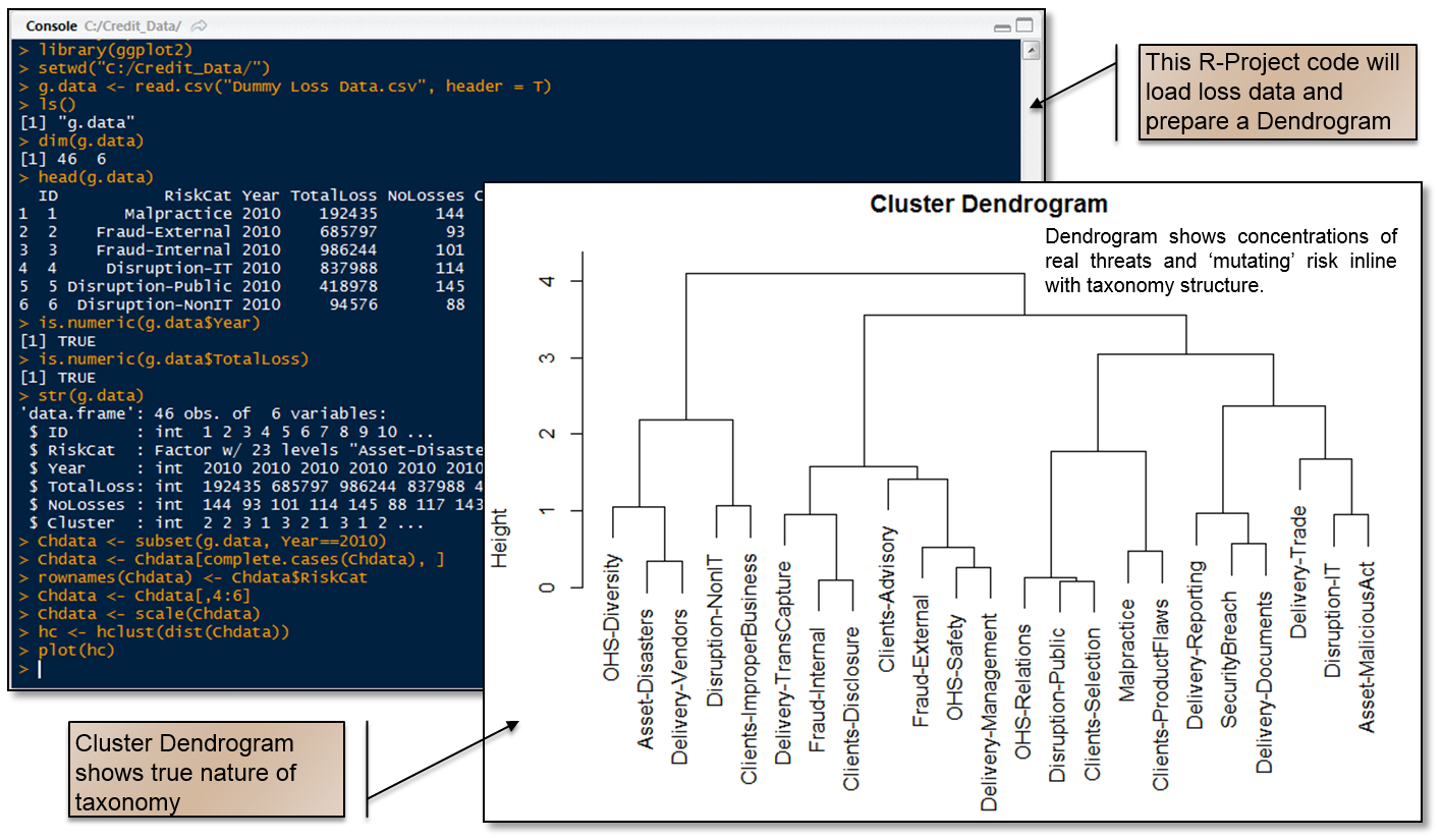 Causal Capital: Risk Taxonomies