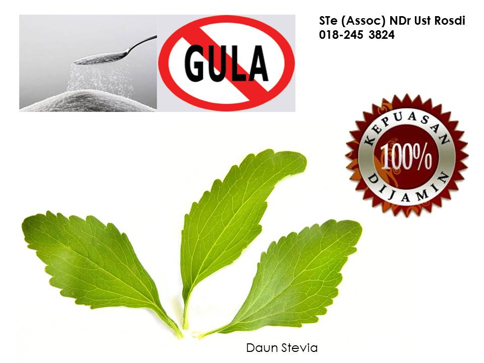 alBayt OneStop Centre [TIB]: ANTARA KEGUNAAN STEVIA