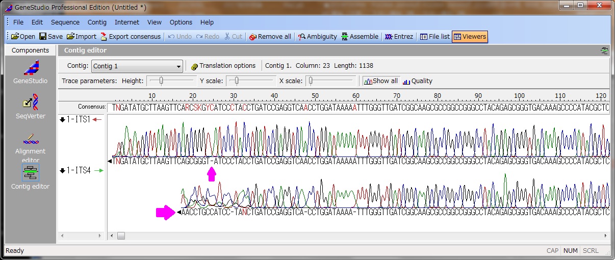 lab-cookbook: サンガー法のDNAシーケンサー波形データのDNA配列解析用フリーソフト GeneStudio、Chromas Lite