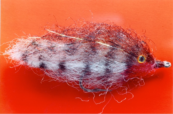 Artificial flies for fishing drawings and paintings: Pictures of ...