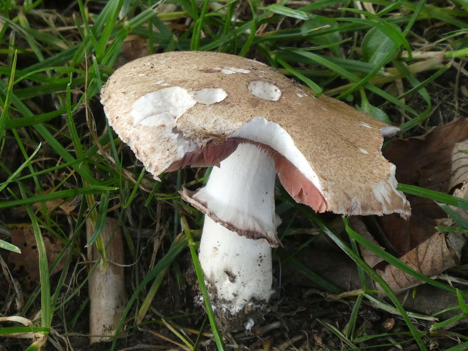 joachimartist: sweating in a sweater