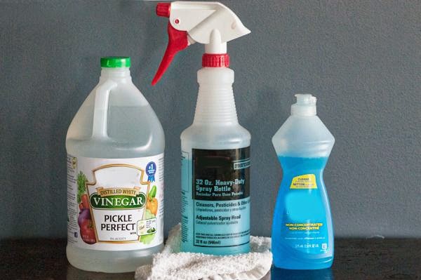 Shauna and Co.: Best Cleaning Solution Ever