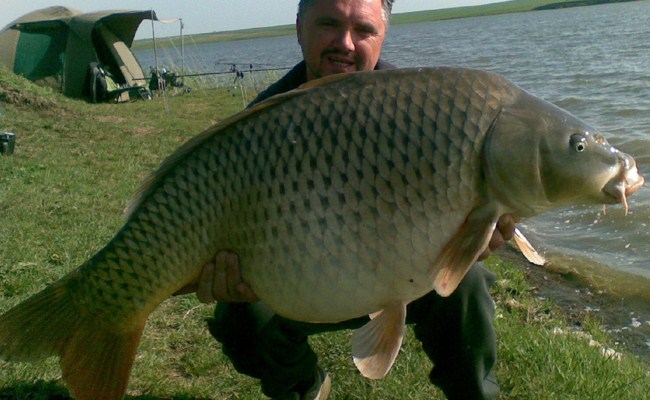www.topbalti.ro: Campionatul Mondial de Pescuit la Crap 2012 - Hobaia