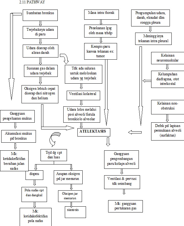 asuhan keperawatan atelektasis ~ Ilmu_Kep_Ns.Dwi.Apriadi