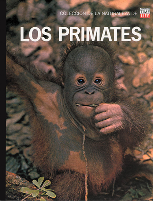 TIME LIFE México: TIME LIFE México, Los Primates