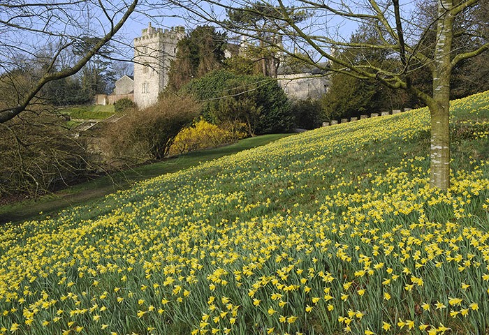 Critter Sitter's Blog: Spring Scenes in England