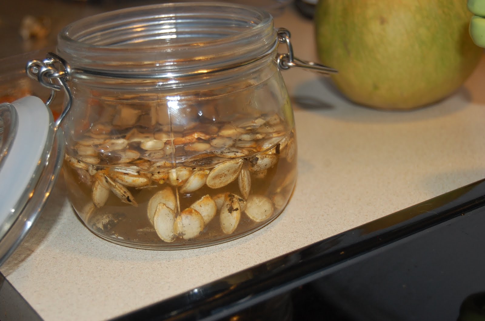 Urban Self-Sufficientist: Saving Seeds and the process of Fermentation