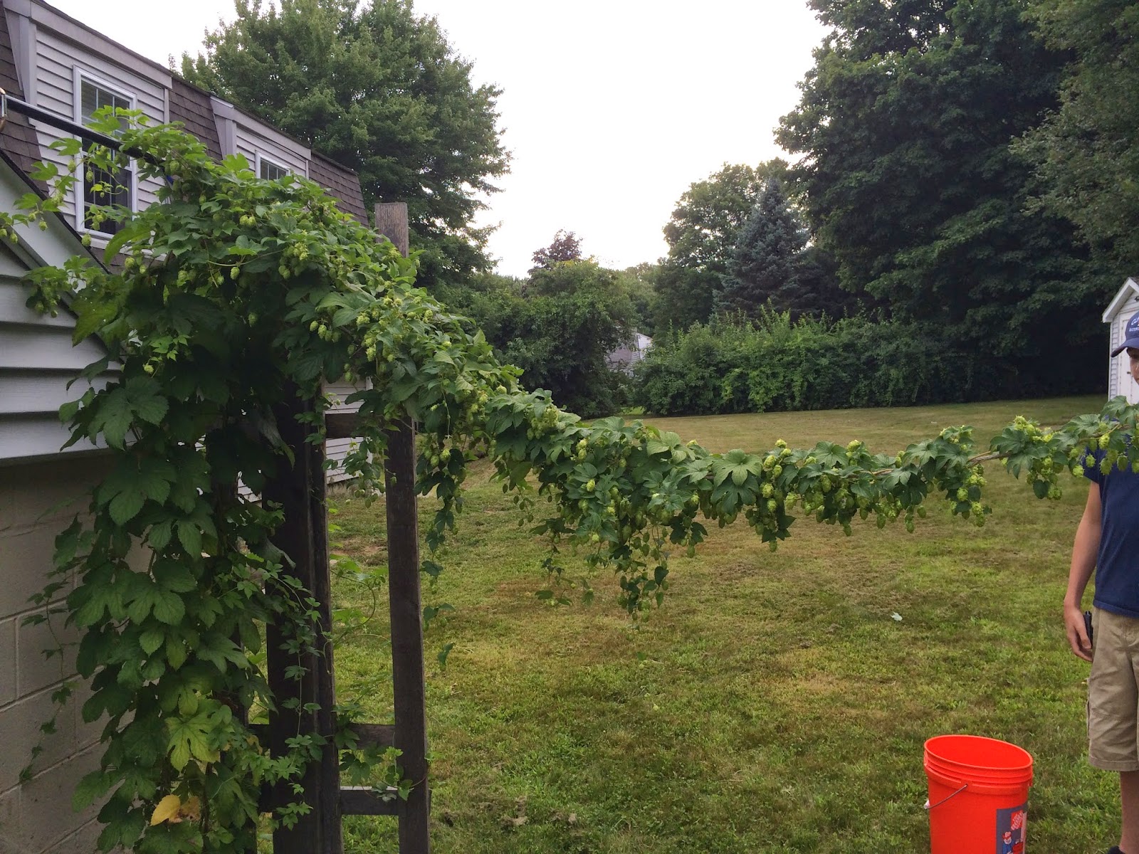 Stars & Bars Brewing Co.