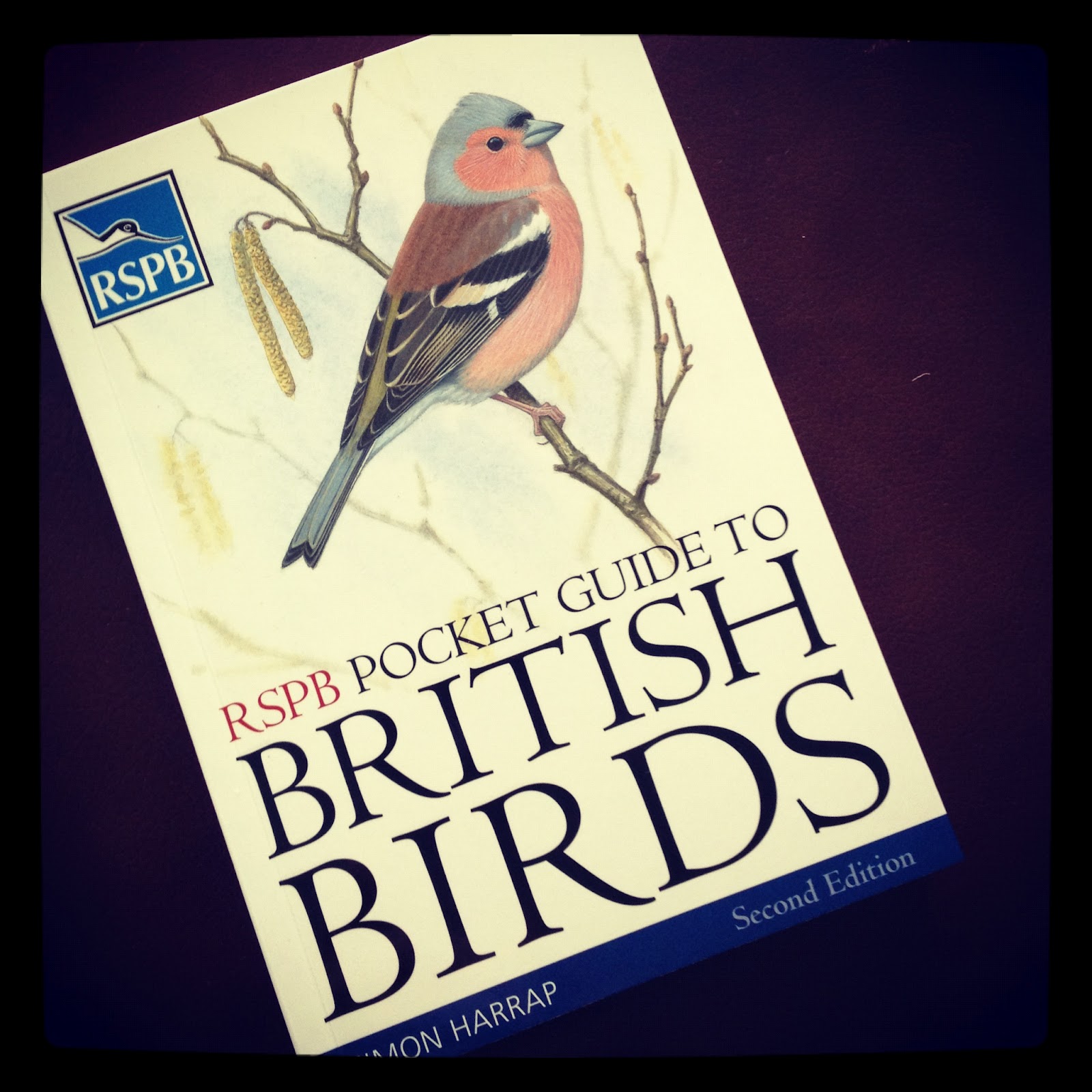 RSPB Pocket Guide to British Birds - Book Review - Bunnipunch