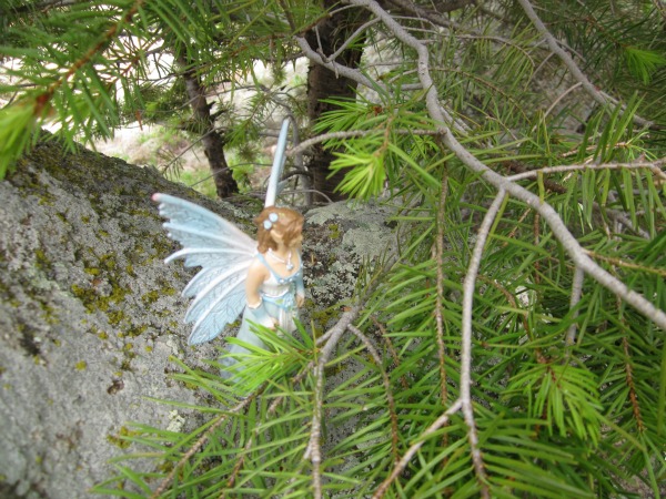 Catherine Denton: Fairy Sighting: Pine Pixie