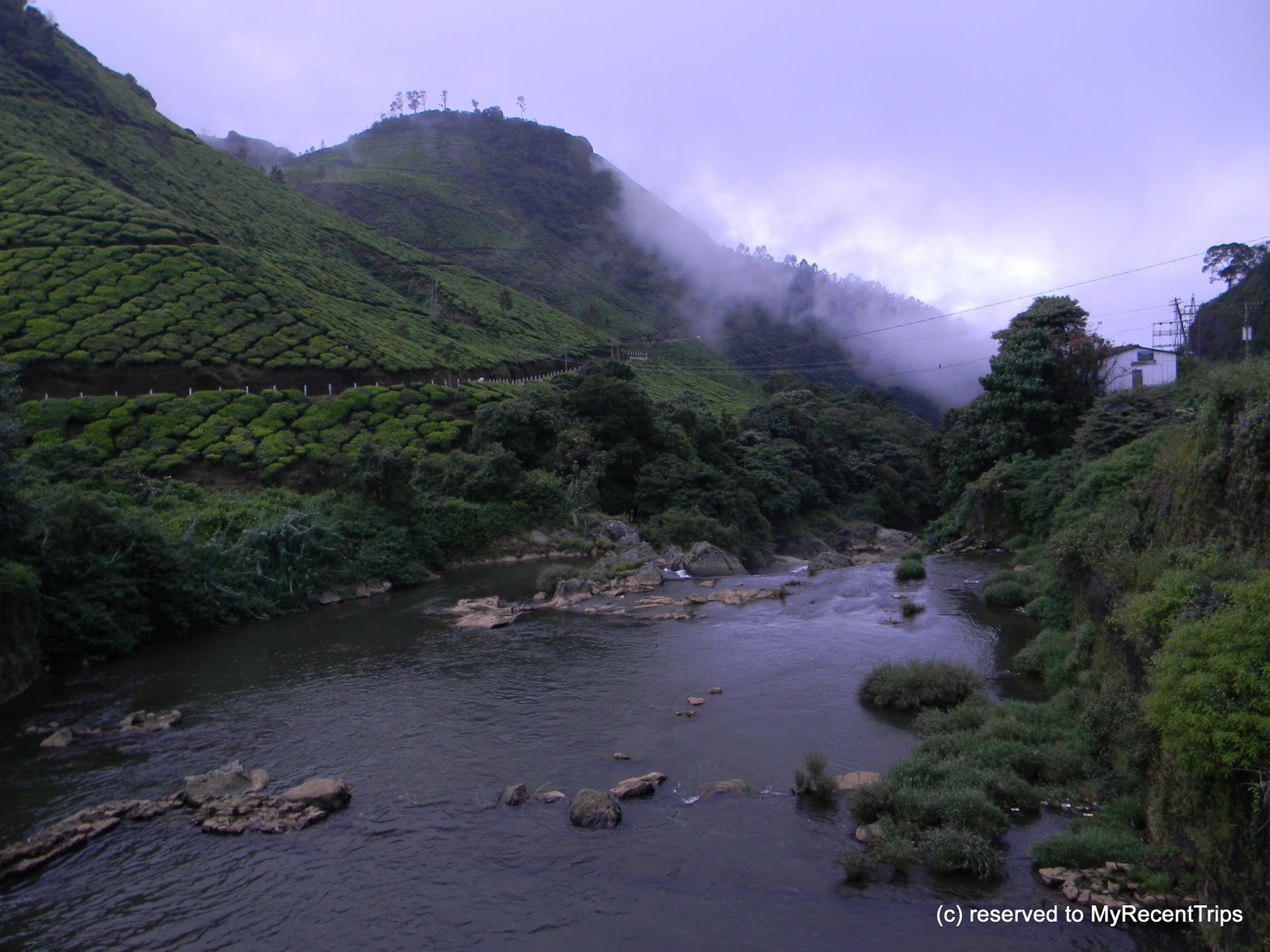 My Recent Trips: Munnar