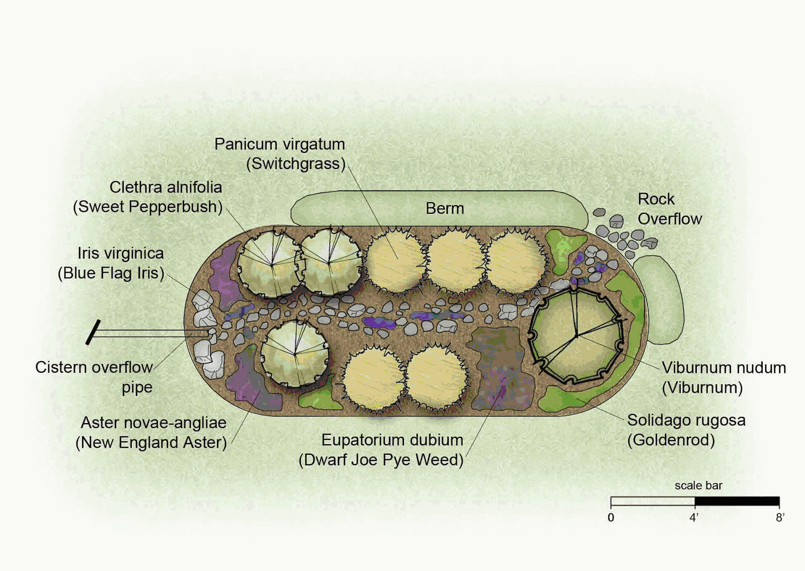 Today on the James: Not Your Typical Rain Garden: The Journey of a Rain ...