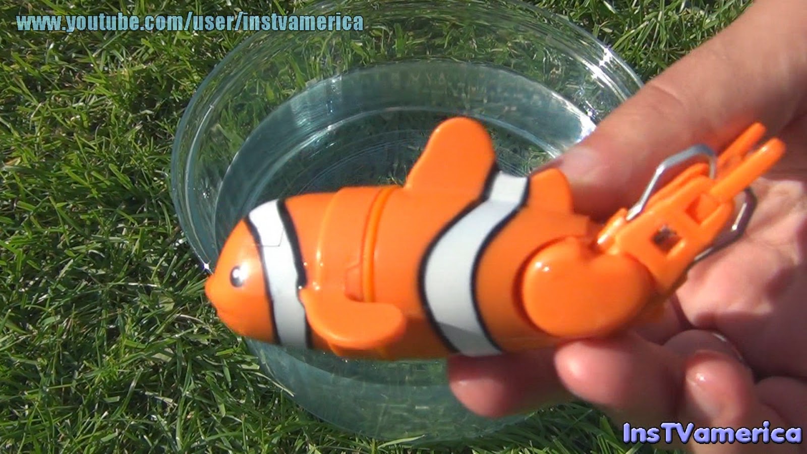 InsTVamerica: Lil' Fishys Motorised Water Pets Shark Dolphin Clownfish
