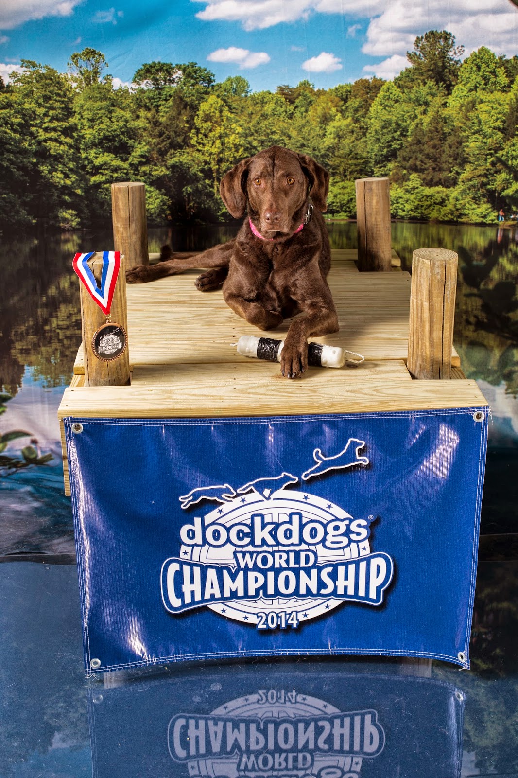 Chessies on the Dock