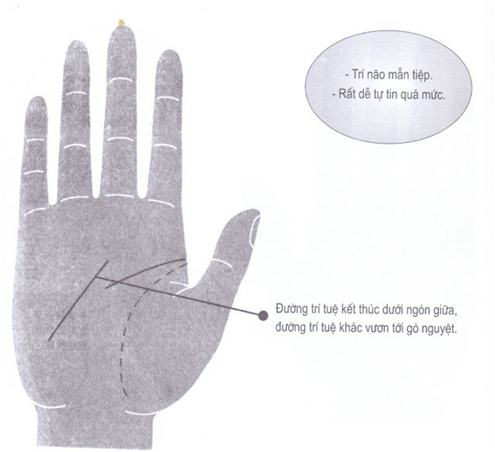 Đường trí đạo | Khoa xem tướng