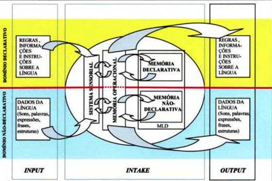 Rascunho: Input, output e intake