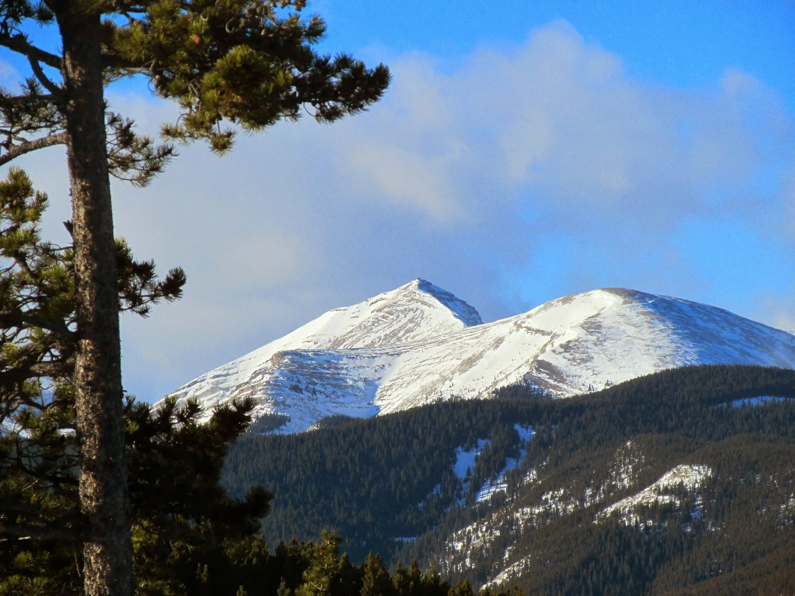 The Passionate Hiker: Ranger Hill Circuit