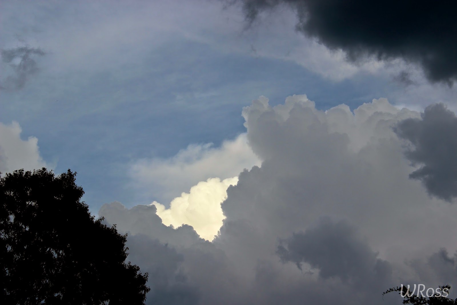 Life at Rossmont: Beauty Captured--Day 344