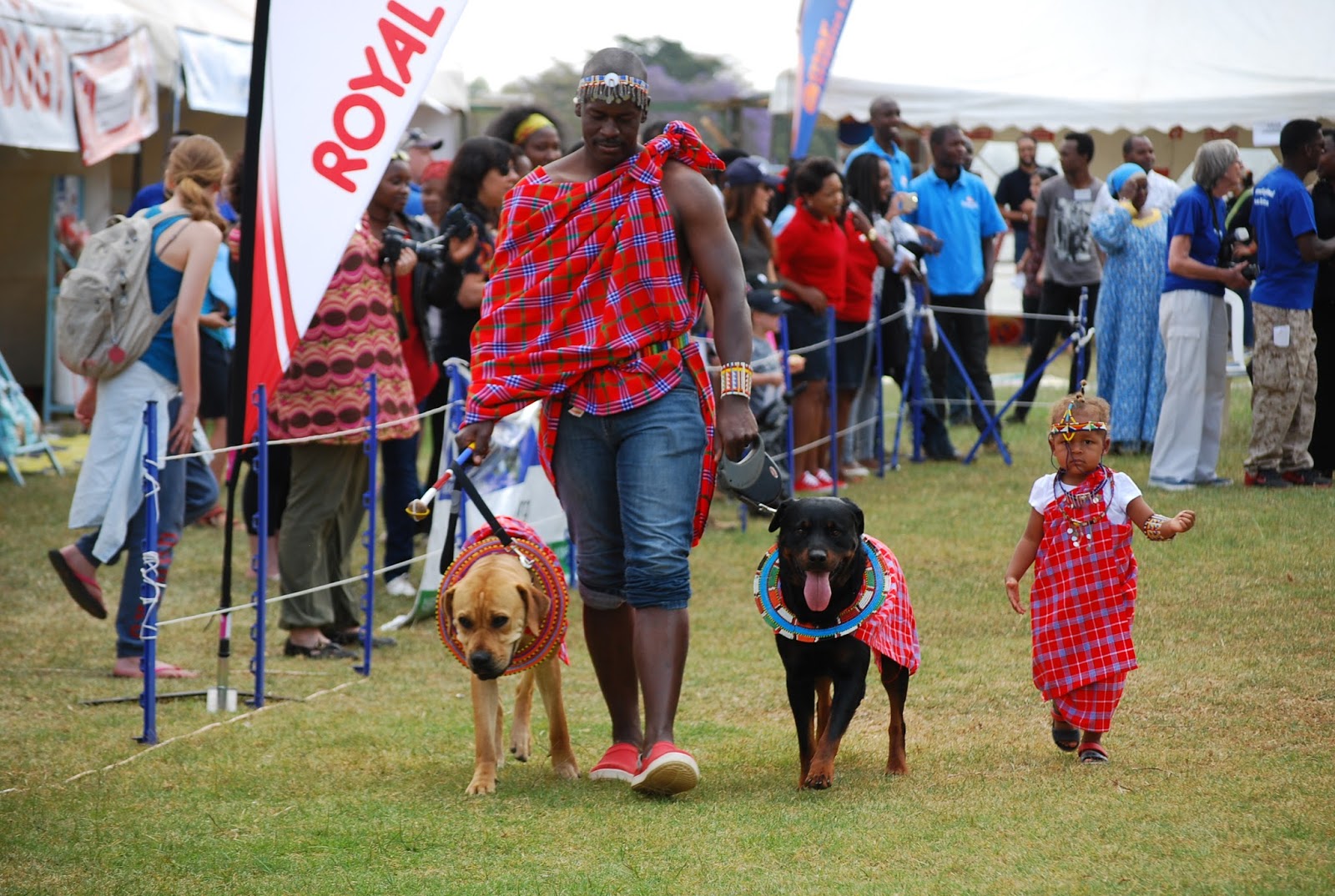 small five VET CLINIC - “Your all-in animal care!”: Pictures of the ...