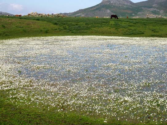 SENDERISMO EN EL RIF/RANDONNÉES DANS LE RIF: DHAR HAJAR Y FAHS LEMHAR ...
