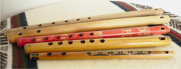 Proyecto Pucallpa: MANGUARE