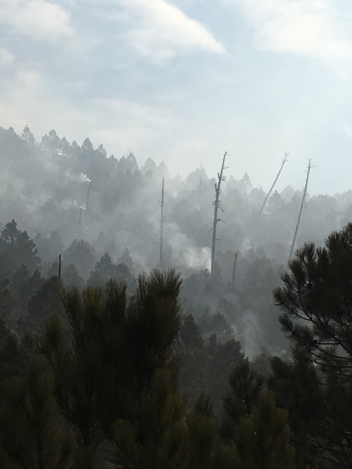 Great Plains Fire Information: Whitetail Fire