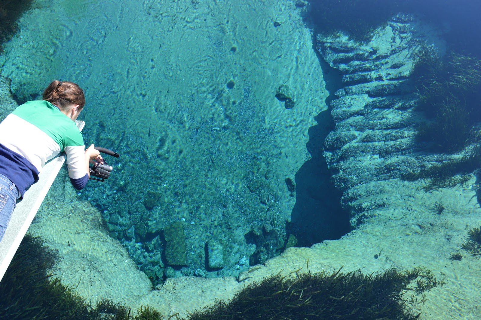 Dale Cox, Historian & Author: The Spirit of Blue Springs: A Jackson ...