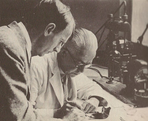 Storia della Geologia: 2016