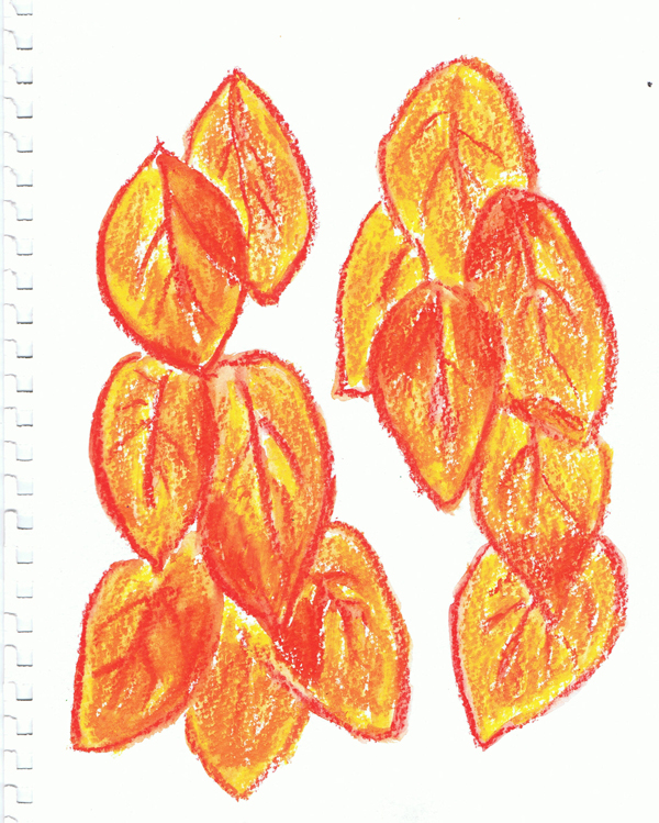 Judy Adamson's Art & Design Blog: Watersoluble Crayons - Perfect for ...