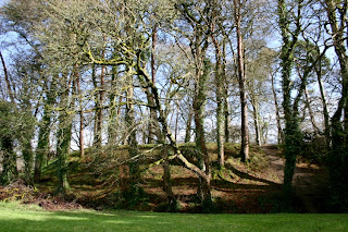 KCIF Kid's Club: Beal Boru, the fort of King Brian Boru