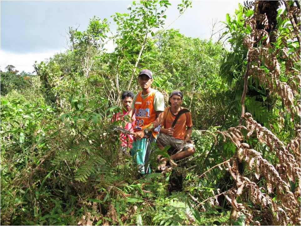 Ser Montaineer: MT. NAGUILING