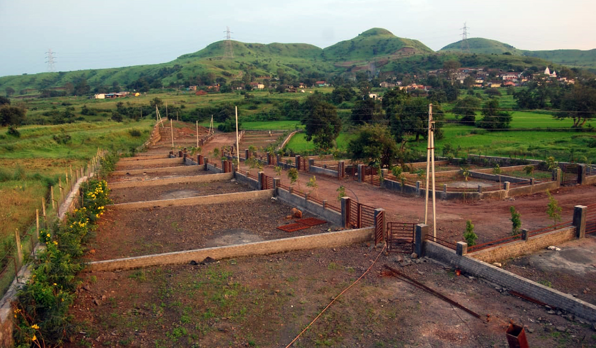 GrowScapes: What is the Precise Step to purchase plots and make the ...