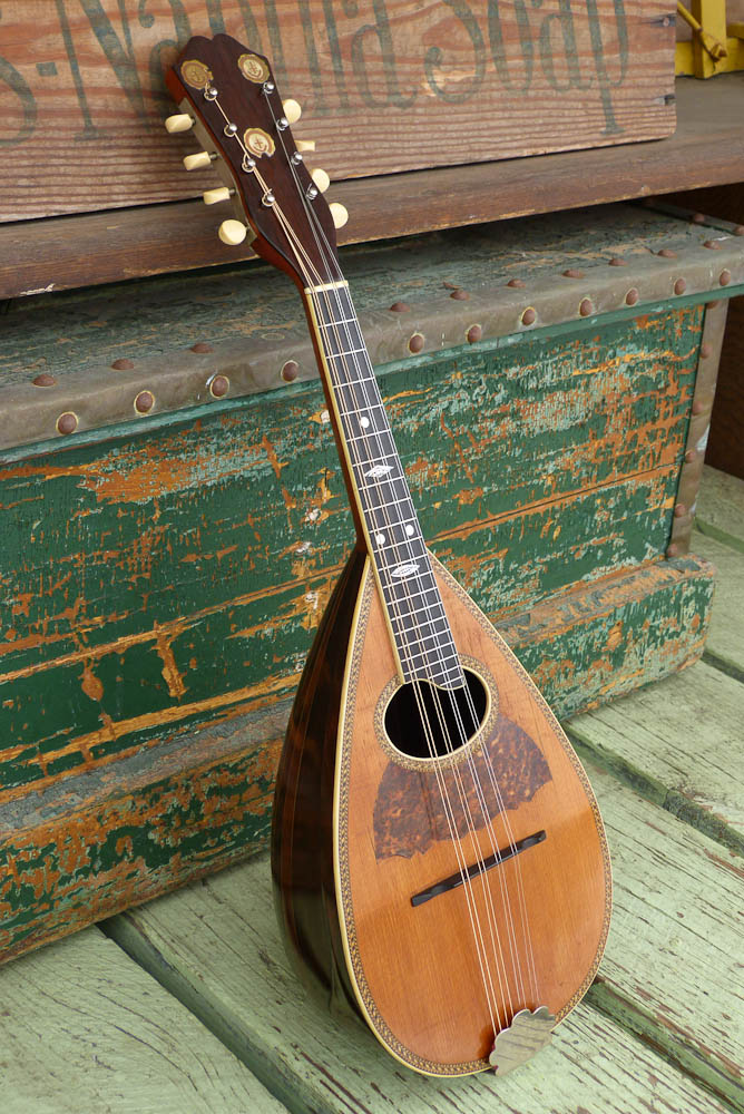c.1911 Vega Style 210 Bowlback Mandolin