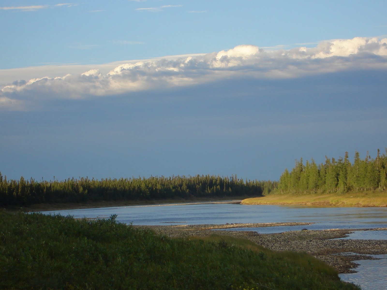 Trout Shadows: Sutton River Memoies